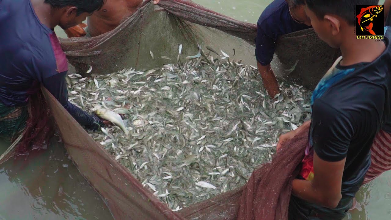 Most Amazing & Unbelievable Big Pond Fishing 2023 | Everyone should ...