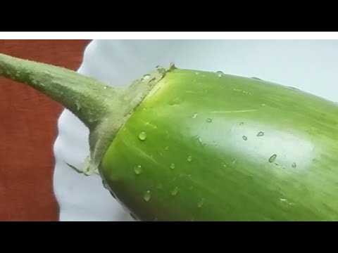 বেগুন ছোট মাছ রসা(Brinjal with small fish)😚 Jharna kitchen village food ...