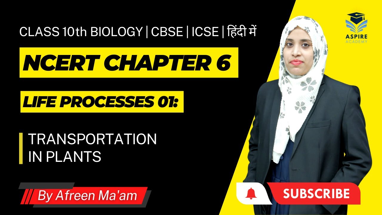Transportation in Plants | Life Processes Class 10 | CBSE NCERT Chapter ...