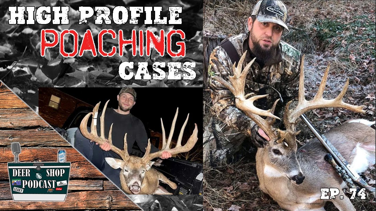 High Profile Poaching Cases | CJ Alexander Resolution | The Deer Shop ...