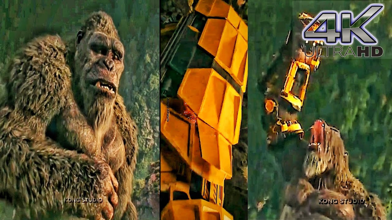 Kong injured after fight with shimo scene | Kong X Godzilla The New ...