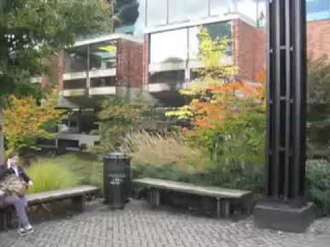 Watzek Library at Lewis & Clark College, Portland, Oregon - YouTube