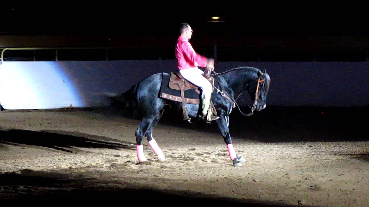 Aaron Ralston 2013 RAM Invitational Freestyle Reining at National ...