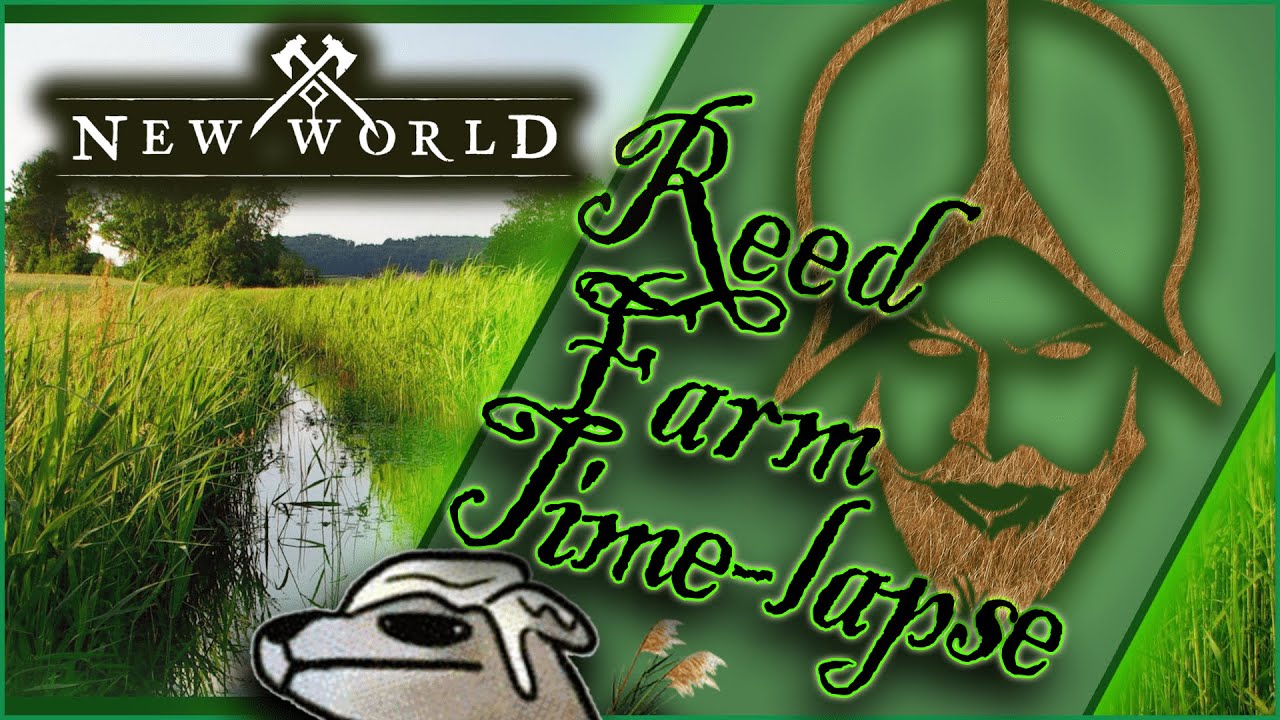 6 Hour Reed Farm Time-lapse - YouTube