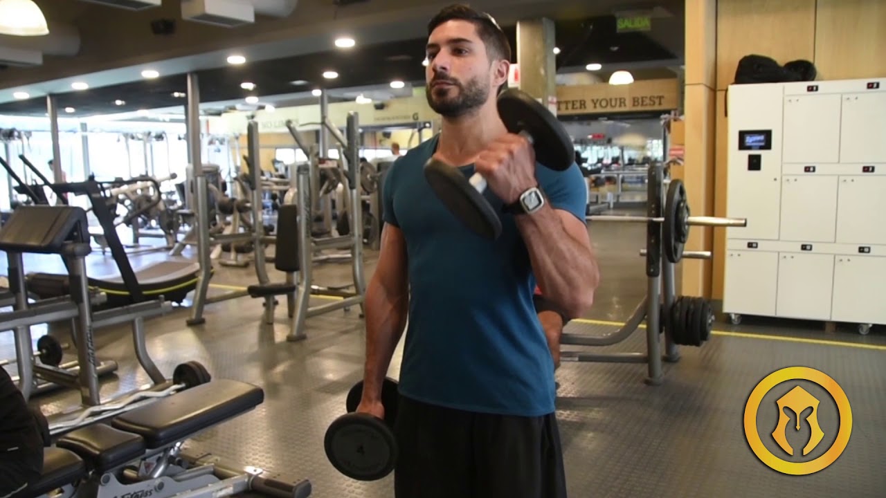 Curl de bíceps alternado con mancuernas - YouTube