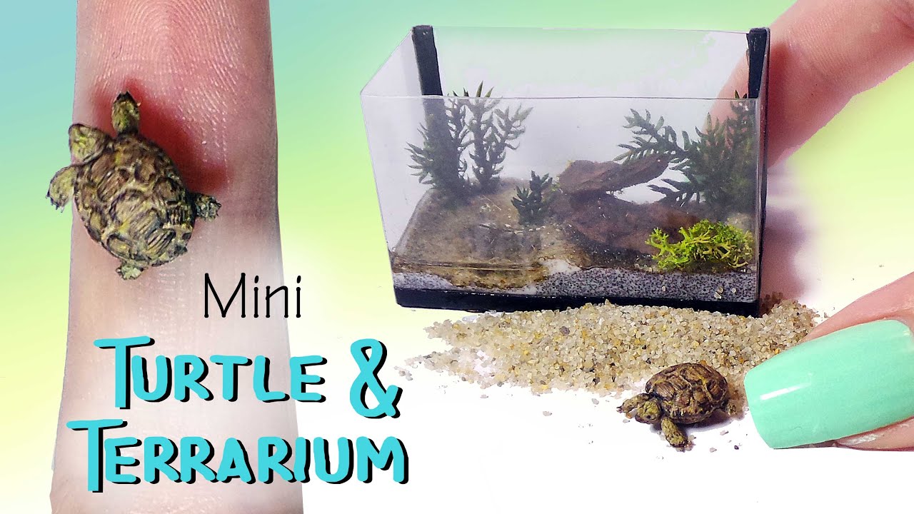 Miniature Turtle & Terrarium Tutorial // Dolls/Dollhouse - YouTube