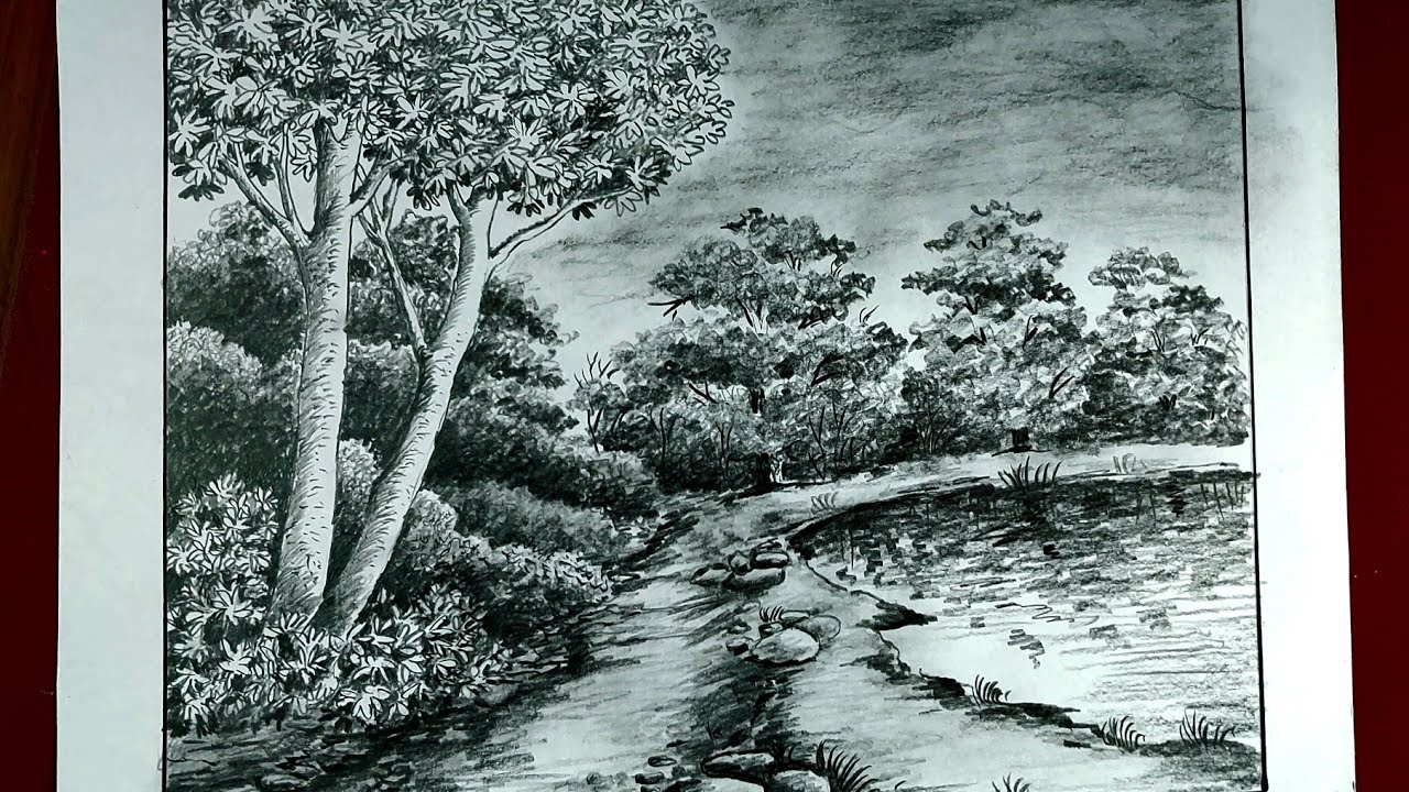 how to draw pencil study,best for beginners// nature drawing - YouTube