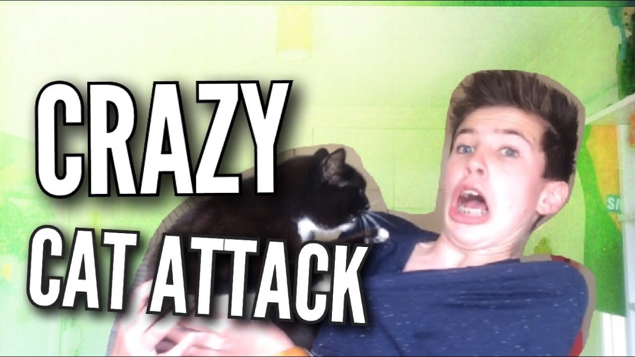 MEET MY EVIL CAT - YouTube