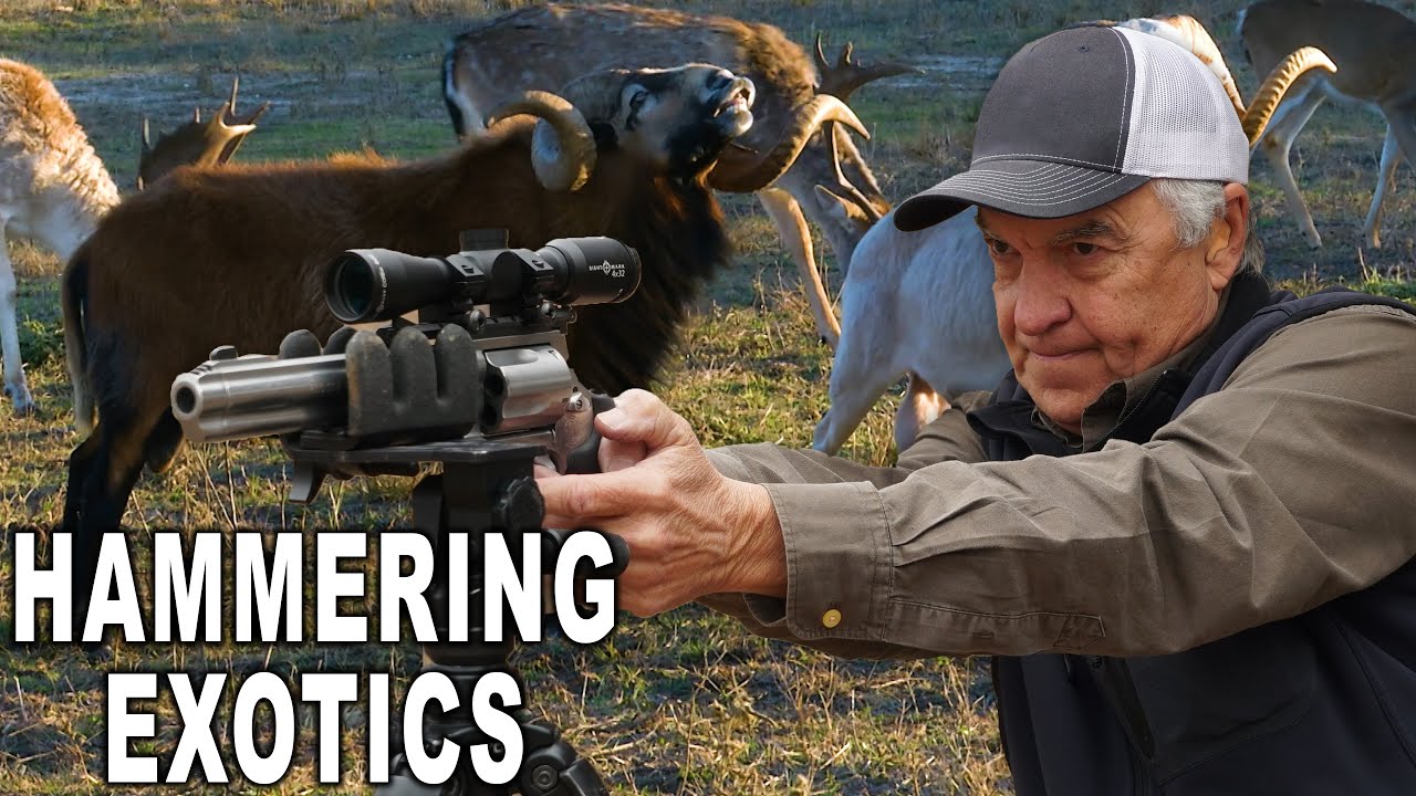 .50 cal MANIA! Hunting Exotics in Texas - YouTube