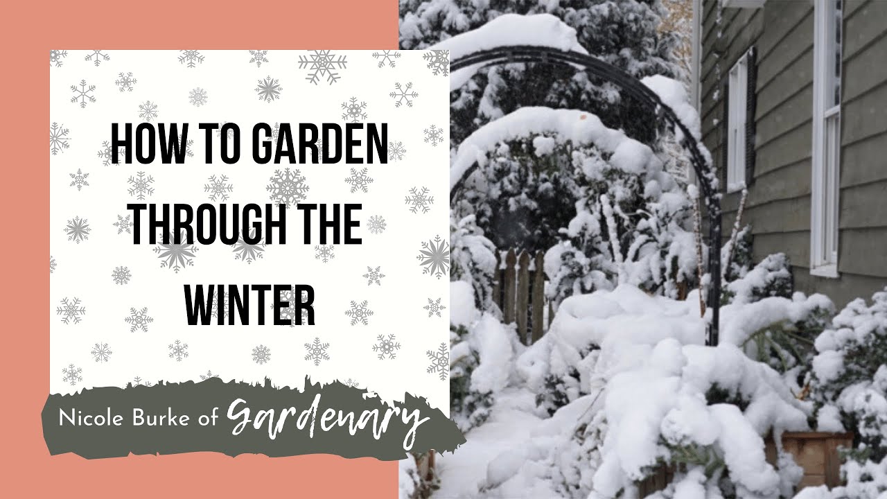 How To Garden Through The Winter: Easy Indoor Container Gardening Tips ...