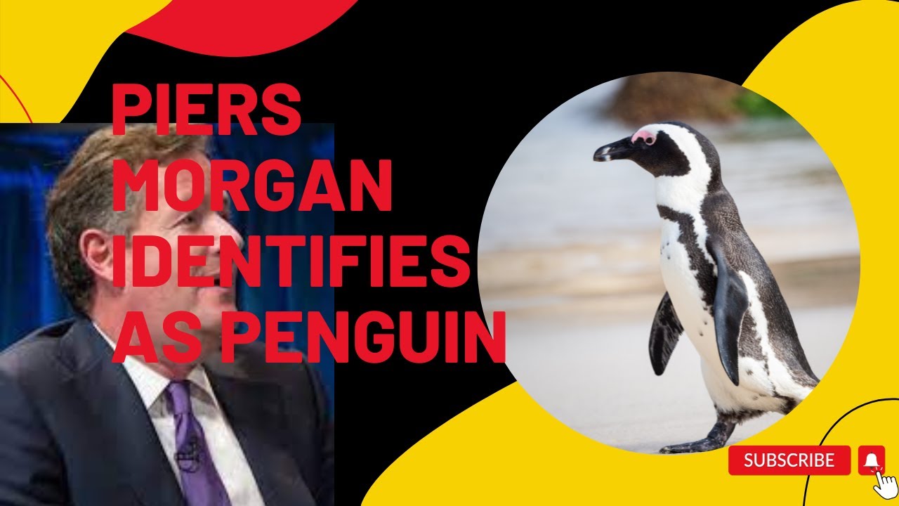 Piers Morgan identifies as a Two Spirit Penguin - YouTube