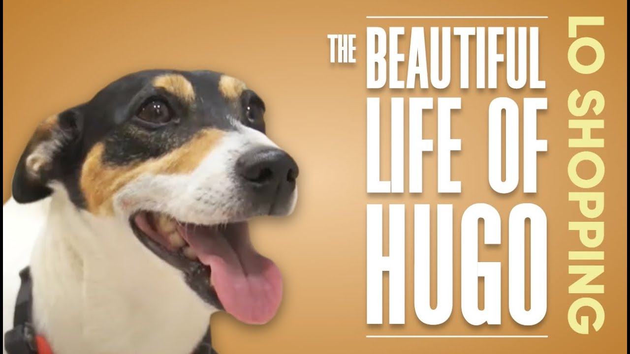 The Beautiful Life of Hugo: HUGO E LO SHOPPING (episodio 4) - YouTube