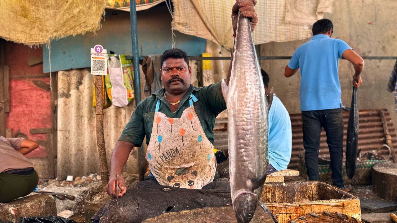 Kasimedu Speed Selvam🔥🔪Vanjiram Fish Slices Skills🔥KF FISH CUTS - YouTube