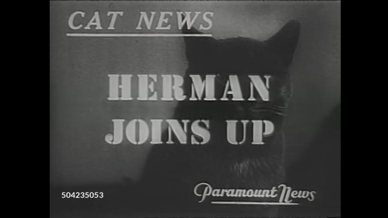 Herman The Cat (1943) | HD 60fps - YouTube