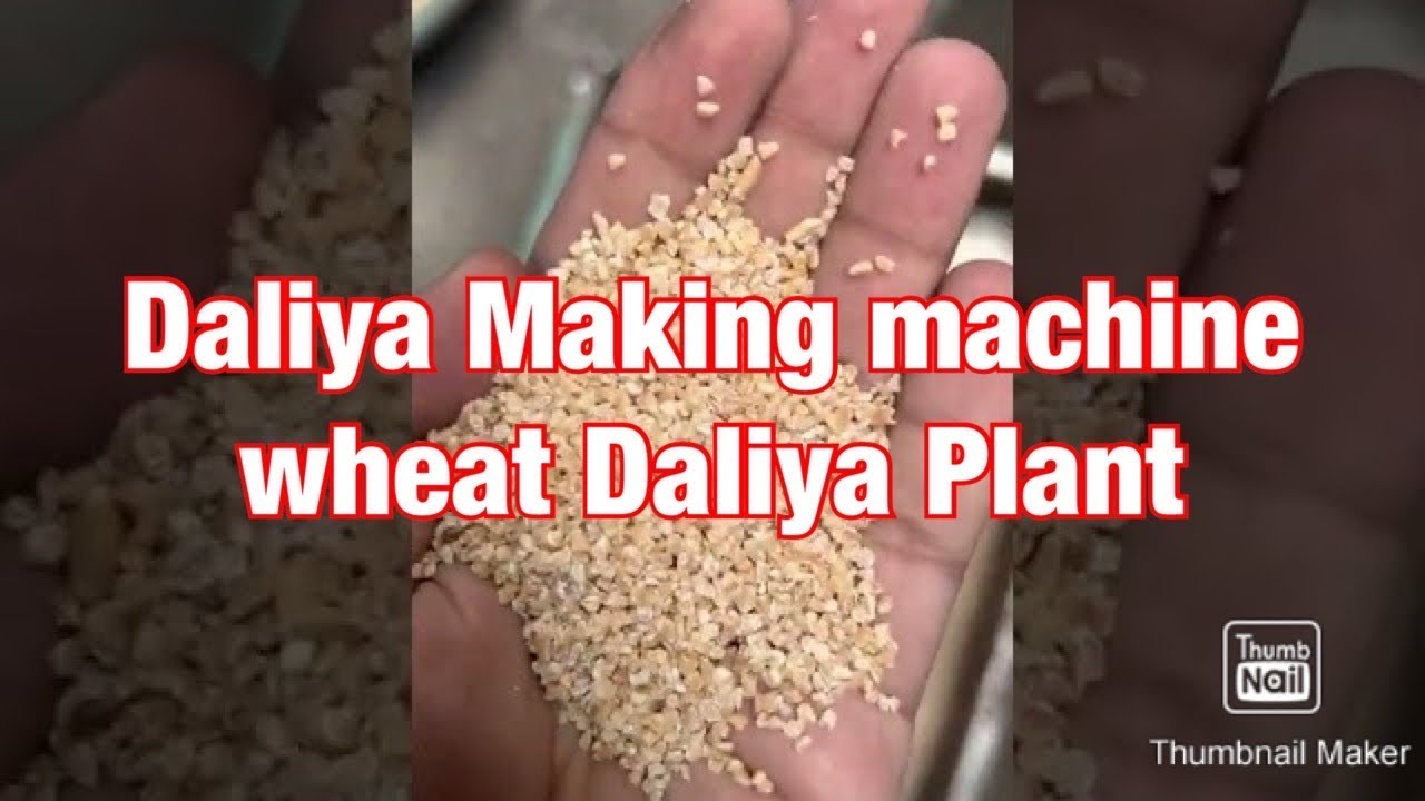Daliya Making machine , wheat Daliya Plant📞☎️📲 +91 93402 60259 - YouTube