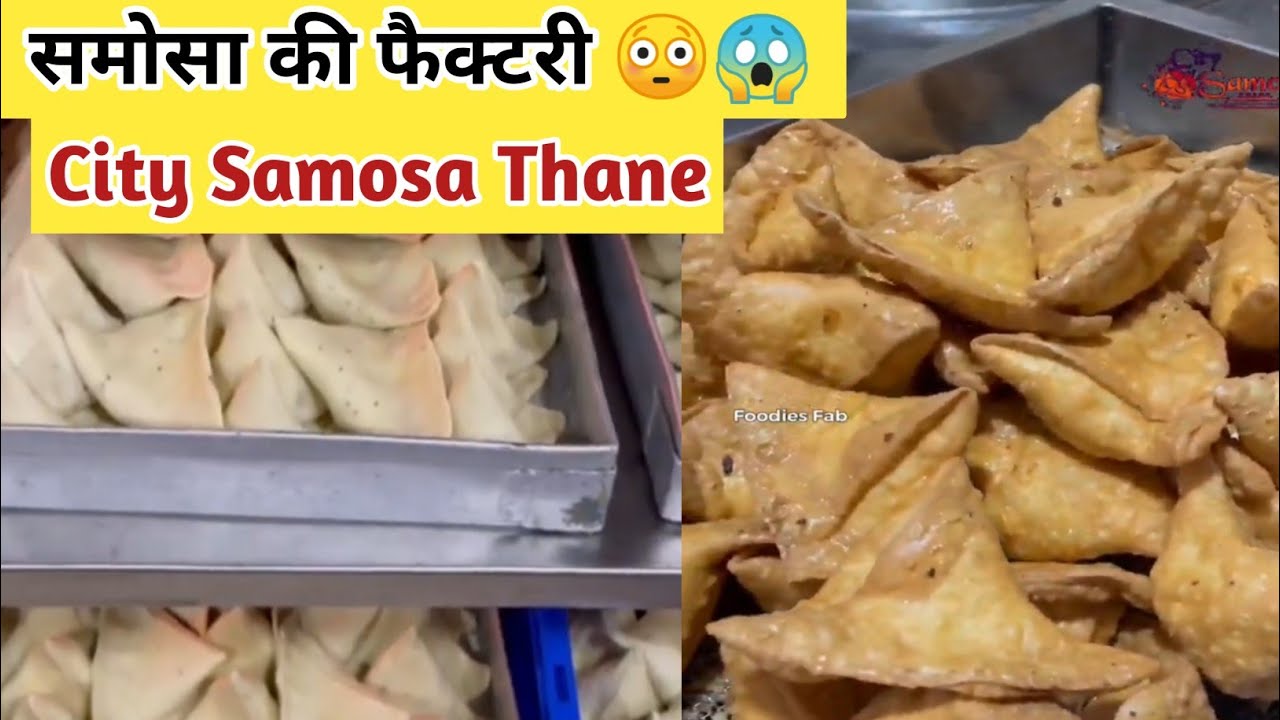 Samosa Processing Factory in India | City Samosa | शुरू करे समोसा लघु ...