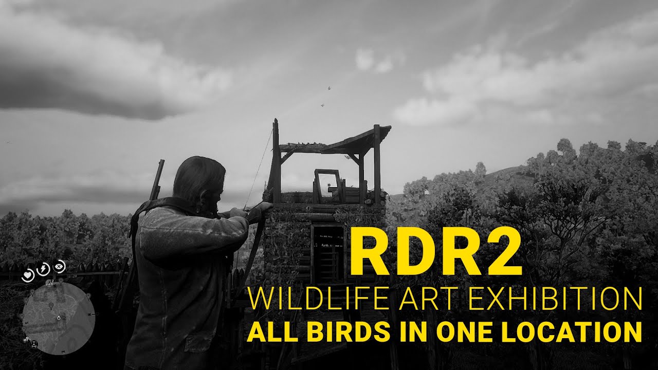 [RDR2] Wildlife Art Exhibition - All birds in one location - YouTube