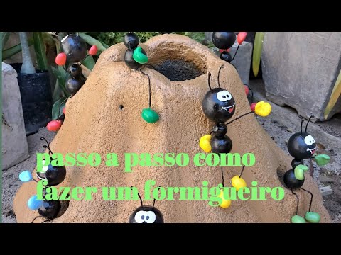 Passo a passo como fazer um formigueiro - YouTube