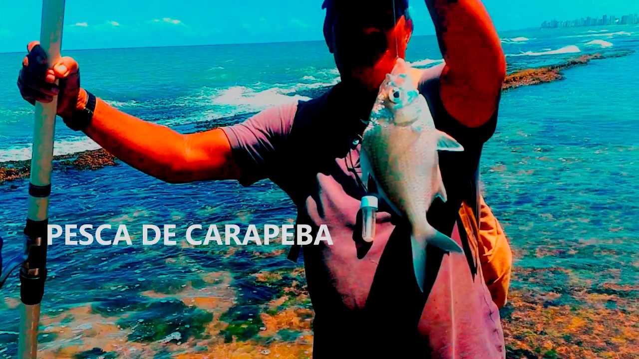 PESCA DE CARAPEBA (SAND PERCH FISHING IN BRAZIL) - YouTube