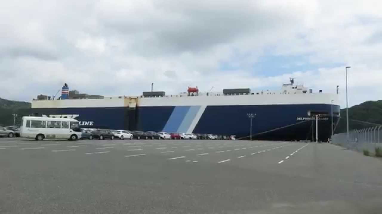 DELPHINUS LEADER - YouTube