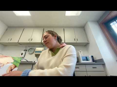 The Perfect Pet - Read Aloud - YouTube