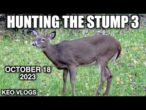 Kaylee Hunting The Hidden-Hole Foodplot - YouTube