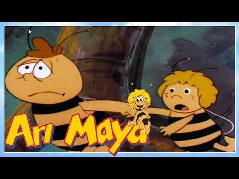 Arı Maya bölüm 21