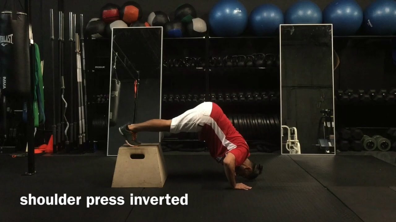 inverted shoulder press - YouTube