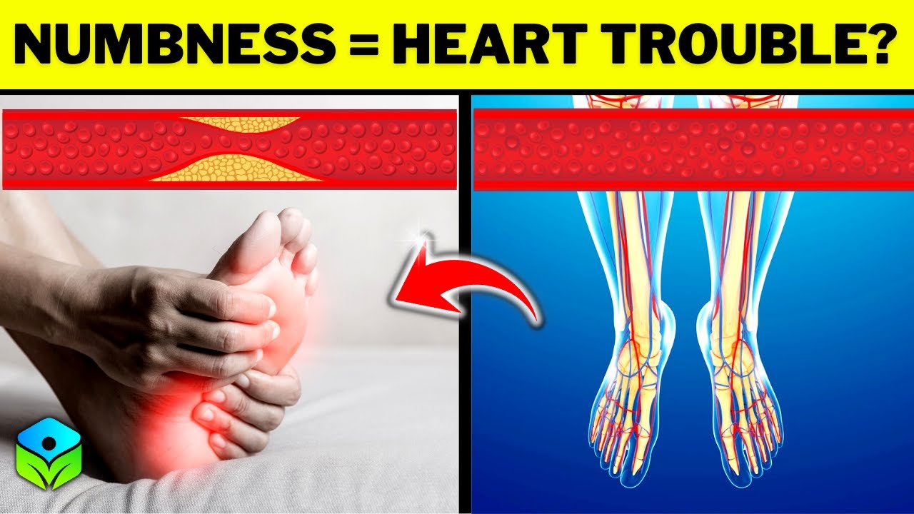 LISTEN TO YOUR BODY - If Your Blood Circulation is Poor, You Need to ...