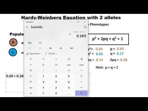 Hardy-Weinberg Equation: Basic | Evolutionary Biology - YouTube
