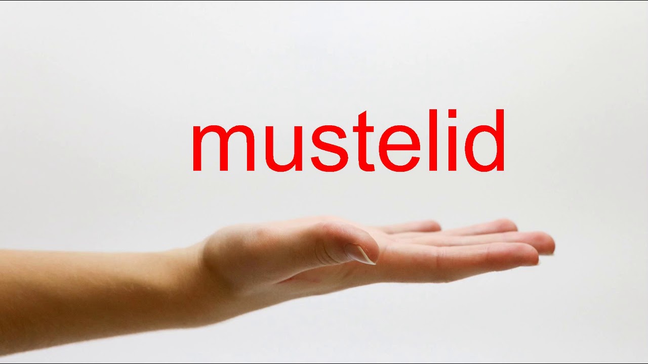 How to Pronounce mustelid - American English - YouTube