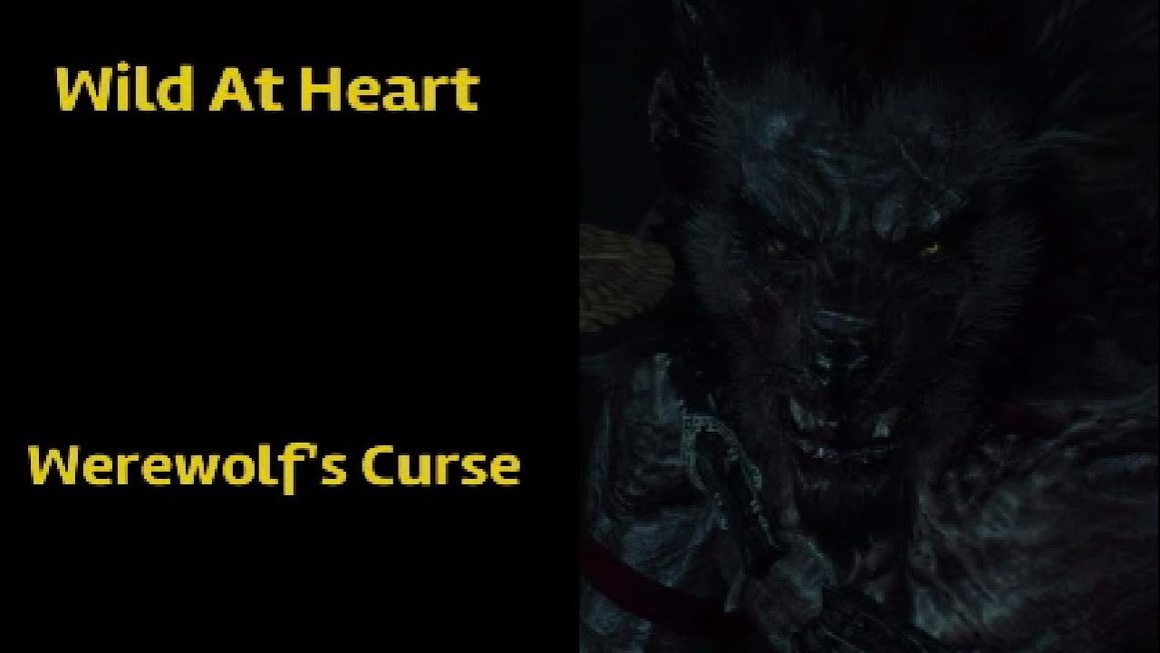 The Witcher 3: Wild At Heart - Werewolf Boss Fight! PS5 Next Gen - YouTube