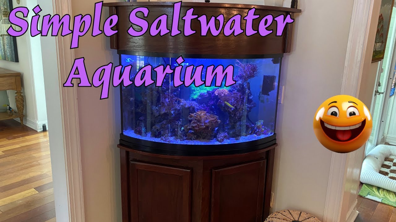 Simple Saltwater Aquariums - YouTube