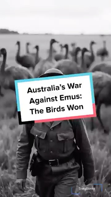 Australia’s War Against Emus: The Birds Won - YouTube