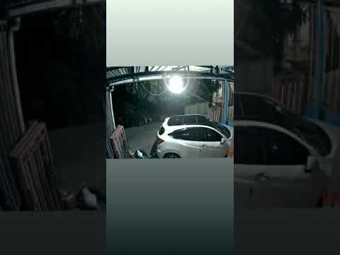 Viral VIDEO KUYANG Terekam Cctv di Samarinda