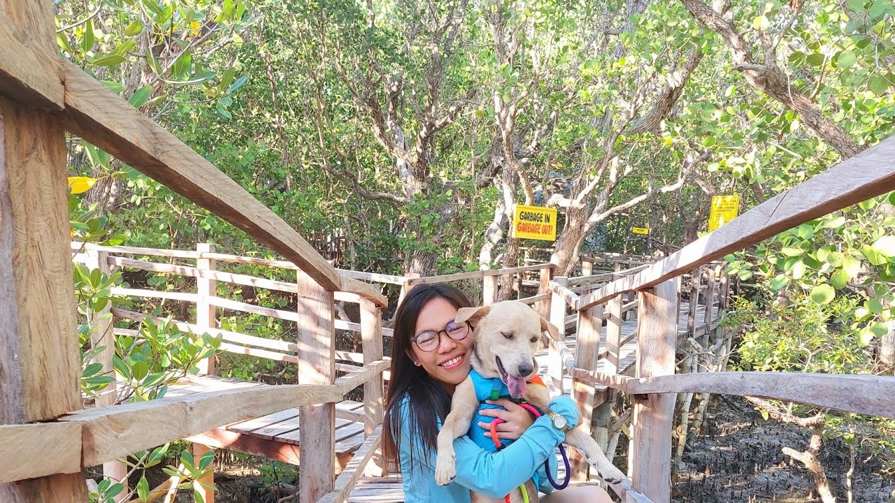 Suyac Island Mangrove Eco Park I Summer outing with the kids and my ...