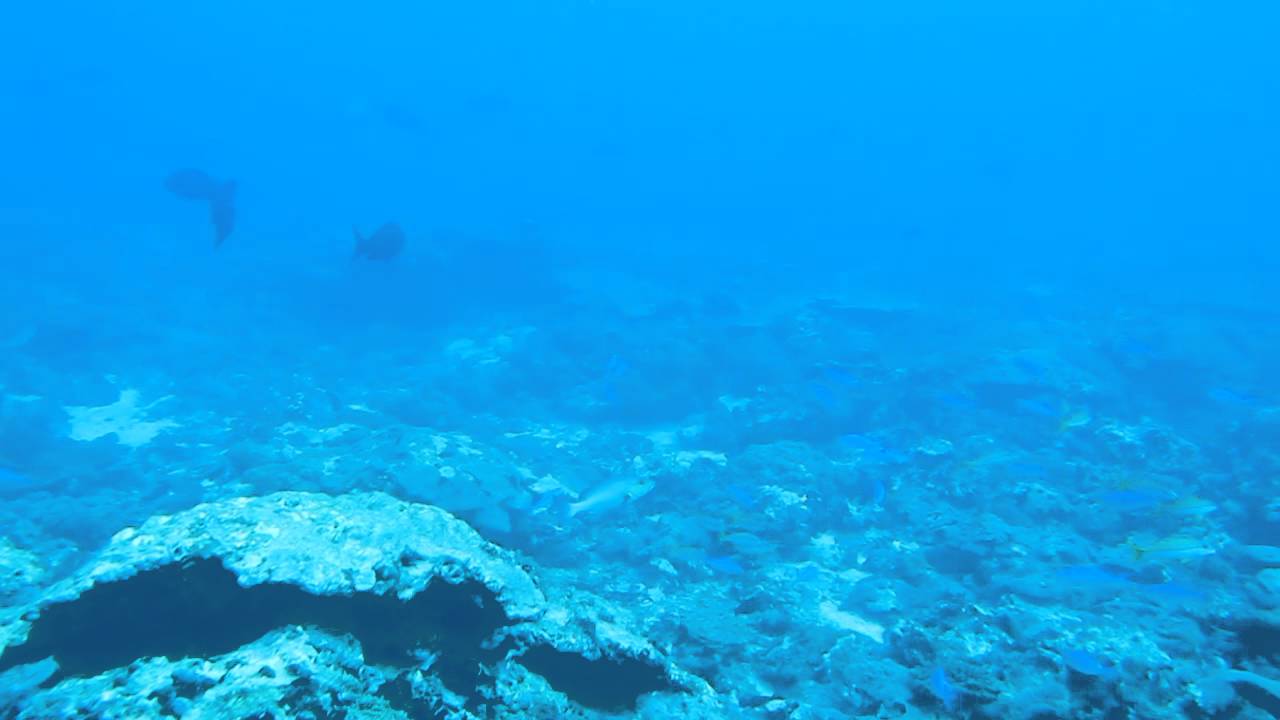 Teaser Diving Angria Banks April 2012 "UNCUT" - YouTube