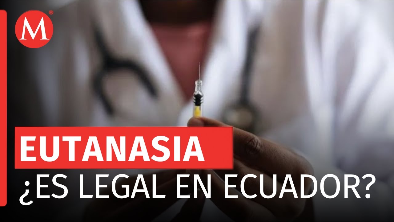 Ecuador legaliza la eutanasia; así funcionará la "Muerte Asistida ...
