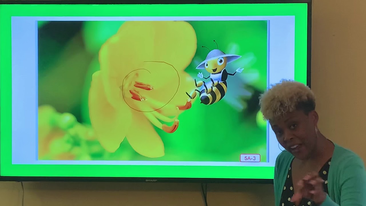 CKLA Pre-k/KindergartenDomain Read Aloud - YouTube