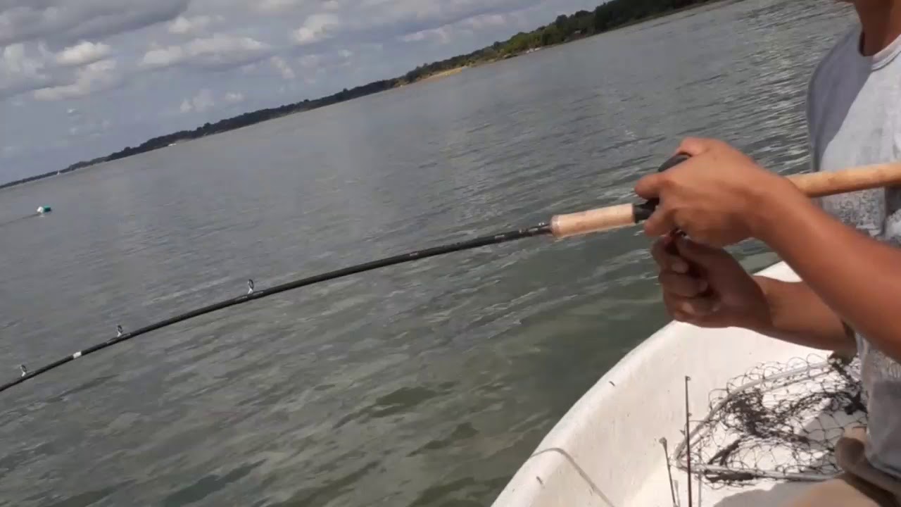 pesca de armado grande - YouTube