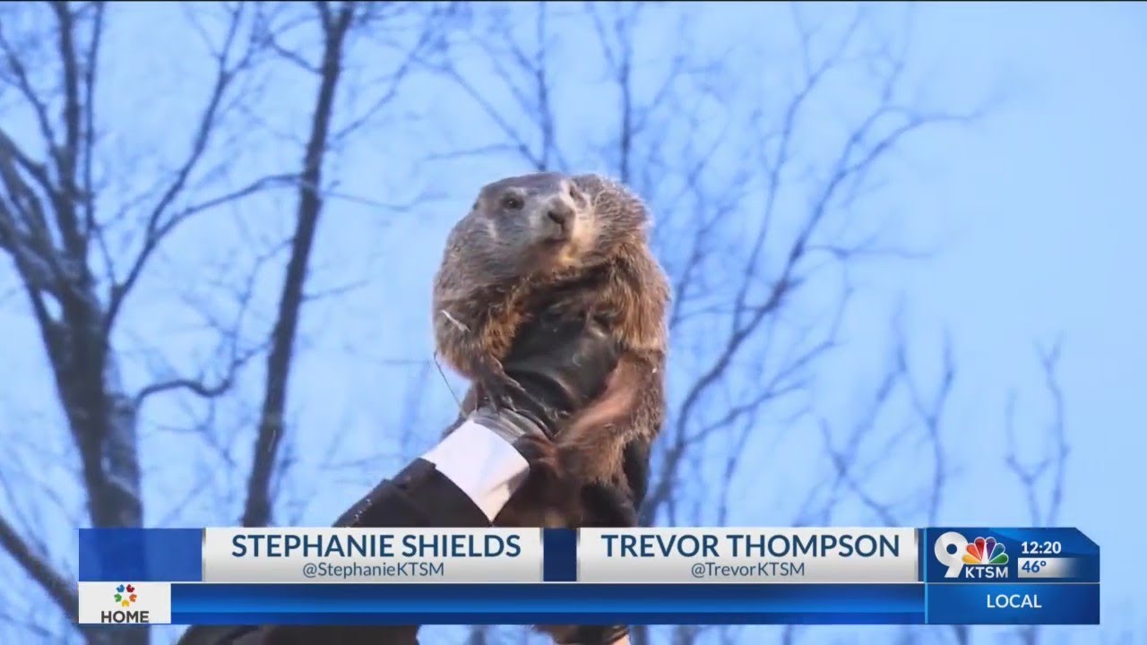 Day in the life of Punxsutawney Phil - YouTube