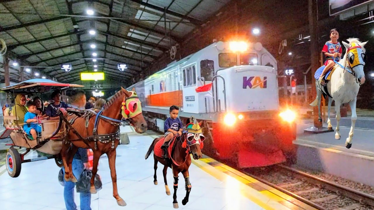 Kuda ~ Kereta Kuda Delman ~ Lagu Naik Kereta Api Tut Tut ~ Delman ~Kuda ...