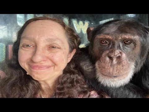 Life with a Chimpanzee: Bow and I - YouTube