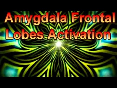Amygdala Frontal Lobes Activation-GOLDEN MEDITATION-Open your Third Eye ...