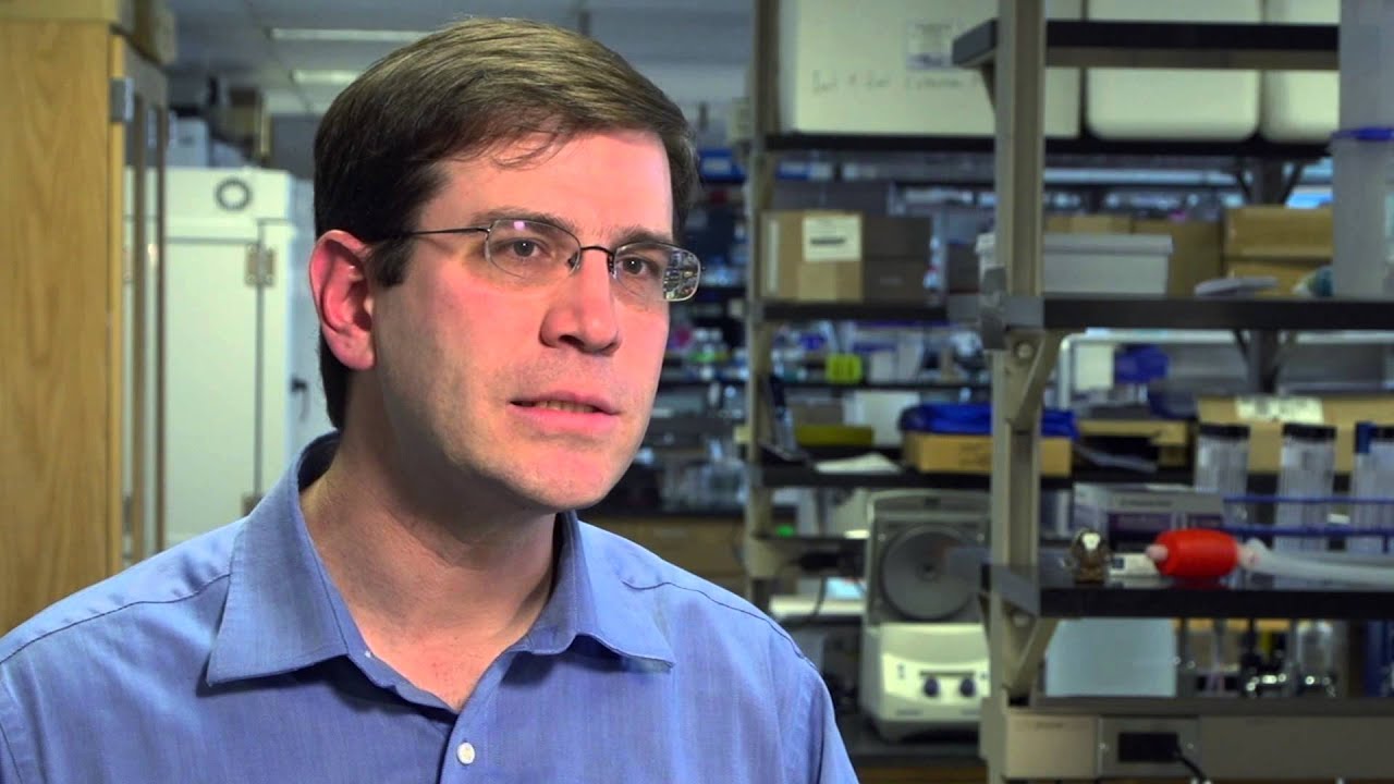 Scientists re-define what's healthy in newest analysis for Human ...