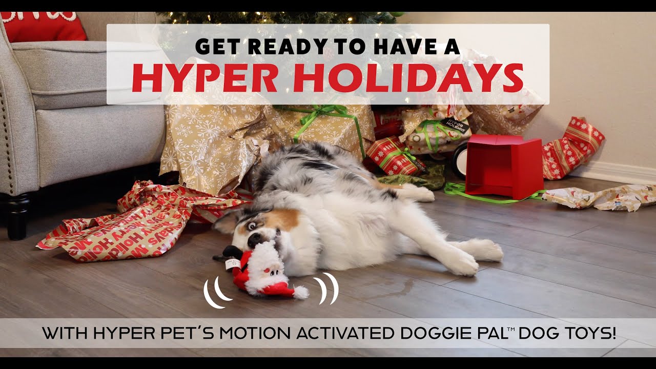 Hyper Pet - Holiday Doggie Pal - Motion Activated Dog Toy - YouTube