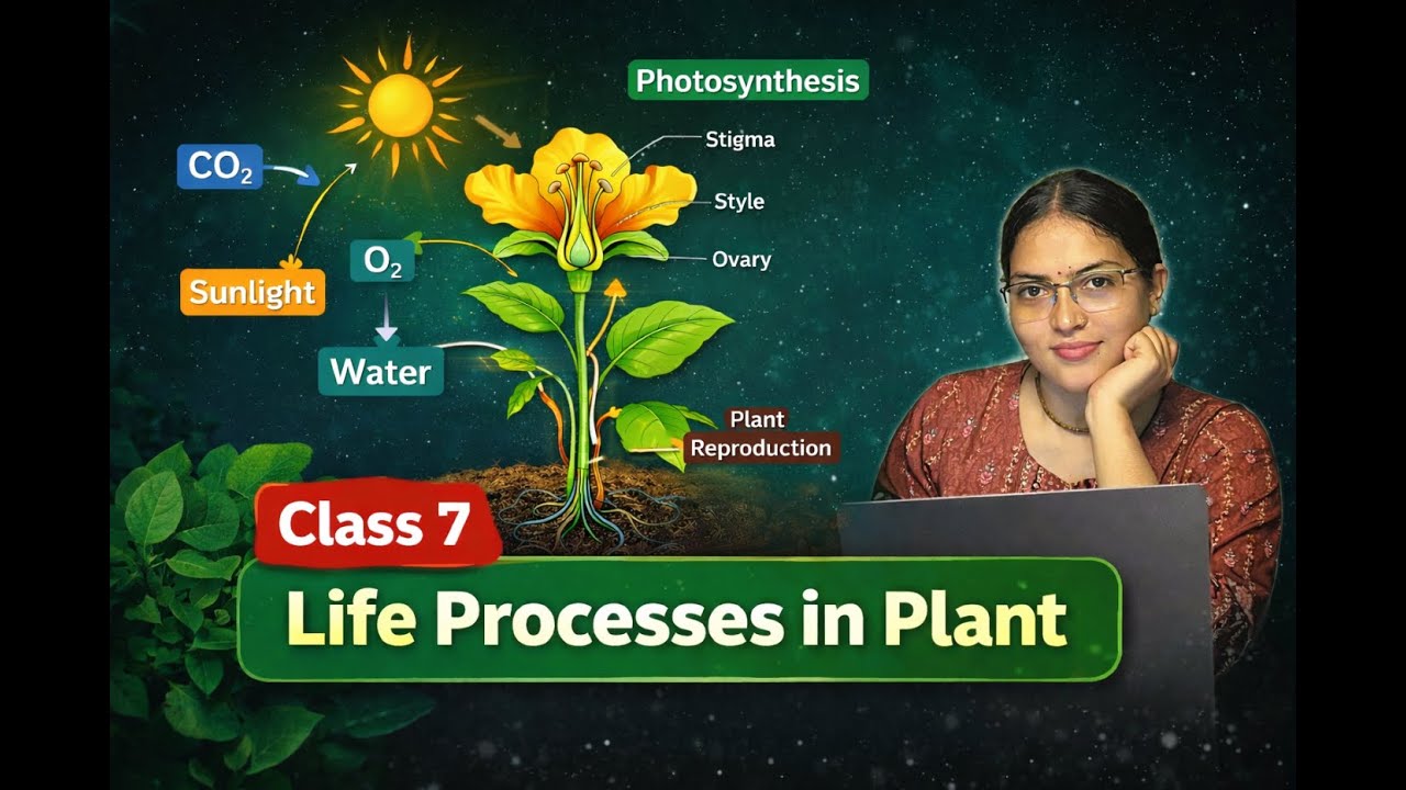 Life Processes in Plant // Class 7th //One Shot Video// NCERT Science ...