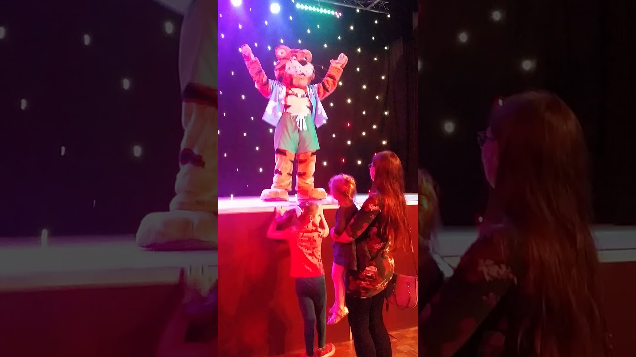 Rory the tigers last song - YouTube