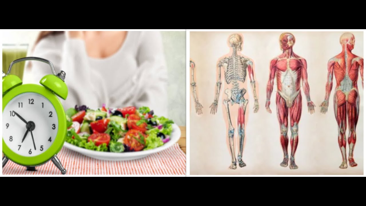 Effects of not eating for 7 days: WHAT HAPPENS TO YOUR BODY? - YouTube