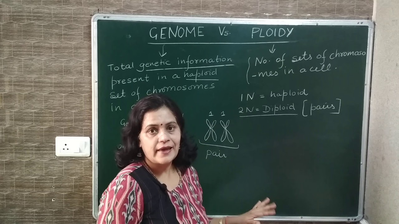 #Genome, #Ploidy. Genome vs ploidy. - YouTube